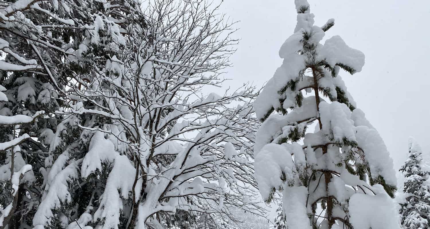 Ferienwohnung in Seefeld/Tirol - Schneesicherheit garantiert!